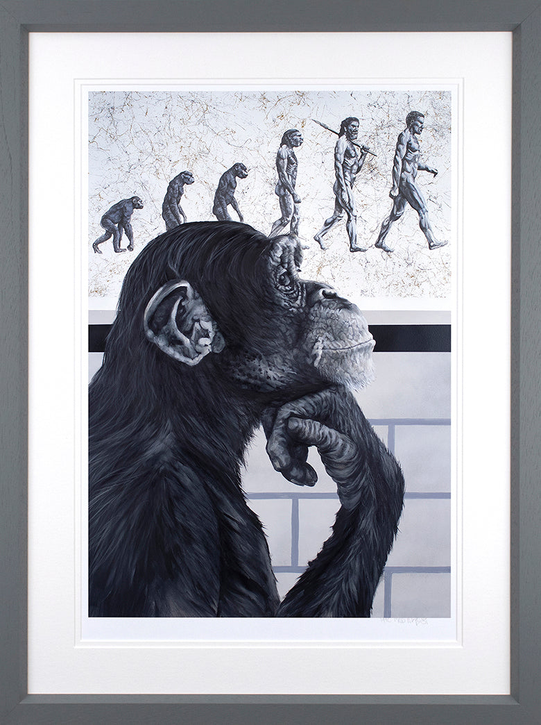 Devolution of Evolution – Framed Art Direct
